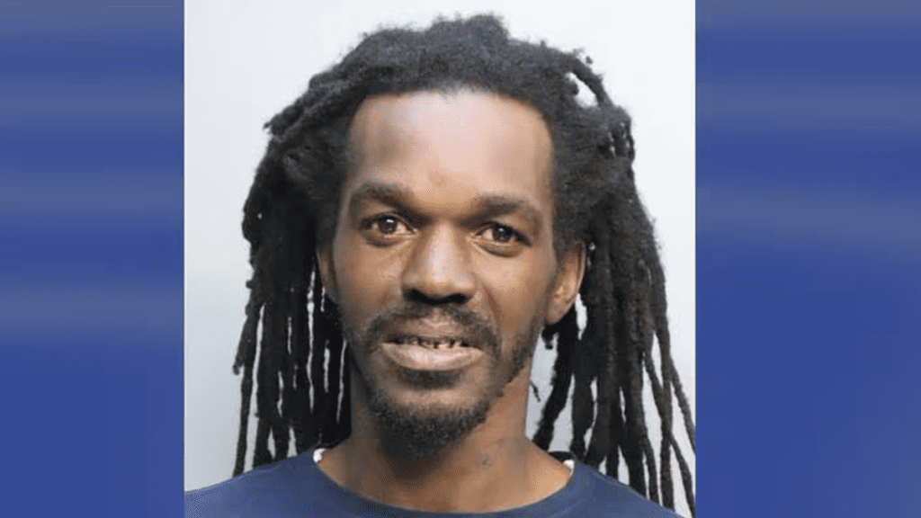 Florida man accused of beating girlfriend's 5-year-old son for watching ...